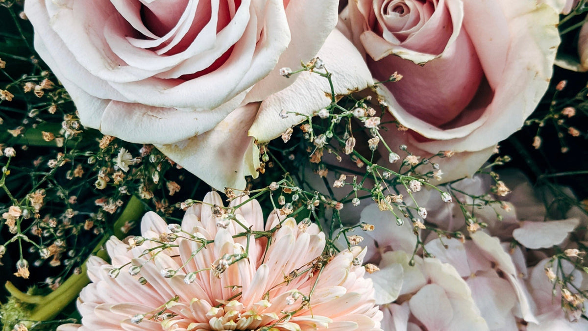 The Fancy Florals Collection